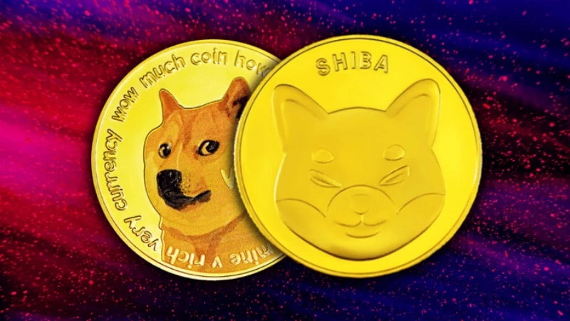 Shiba Inu y Dogecoin presentan problemas en su precio - Lancelot Digital | Noticias de Lanzarote ...