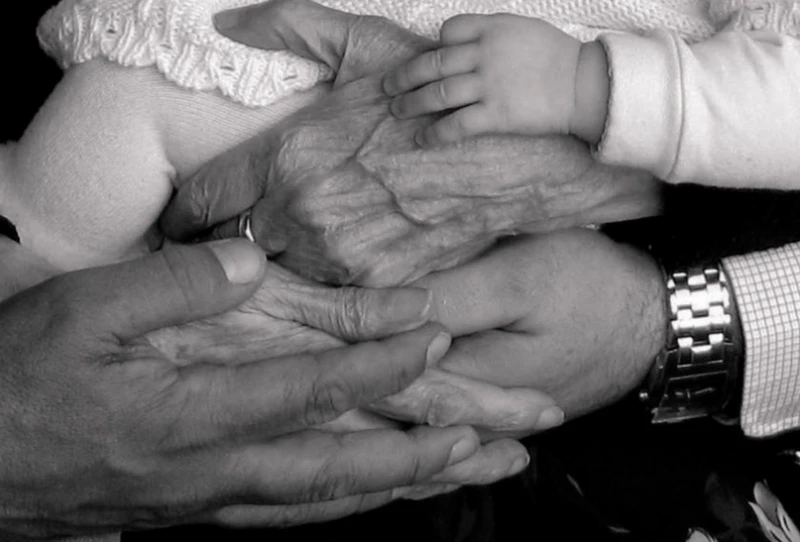 No, tampoco los hijos pueden desatender a los padres - Lancelot Digital ...